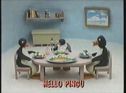 Hello, Pingu | Pingu Wiki | Fandom