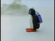 Pingi | Pingu Wiki | Fandom