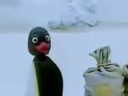 List of Minor Characters | Pingu Wiki | Fandom