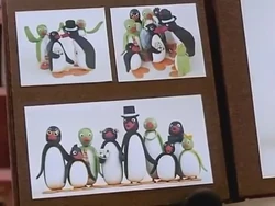 Boda Especial De Pingu Ryan And Rachel's Wedding Was So Well Planned
