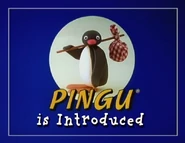 Hello, Pingu | Pingu Wiki | Fandom