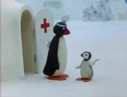 Pingu at the Doctor's | Pingu Wiki | Fandom
