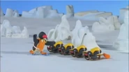 Pingu's Sledge Academy | Pingu Wiki | Fandom