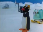 Pingu the Photographer | Pingu Wiki | Fandom