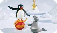 Robby | Pingu Wiki | Fandom