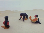 Pingg | Pingu Wiki | Fandom