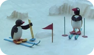 Pingo | Pingu Wiki | Fandom