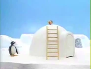 Pingu (Pilot Episode) | Pingu Wiki | Fandom