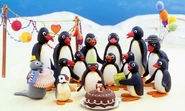 Pingu and Pinga's Family | Pingu Wiki | Fandom