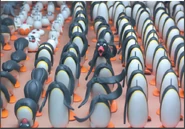 Behind the Scenes | Pingu Wiki | Fandom