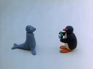 Pingu the Photographer | Pingu Wiki | Fandom