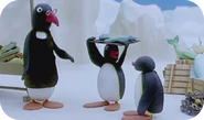 Pingo | Pingu Wiki | Fandom