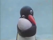 Pingu (Pilot Episode) | Pingu Wiki | Fandom