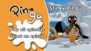 Stinky Pingu (DVD) | Pingu Wiki | Fandom