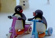 Pingi | Pingu Wiki | Fandom