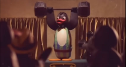 Pingu Wiki | Fandom