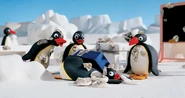 Pingg | Pingu Wiki | Fandom