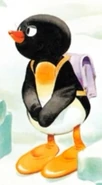 Pingi | Pingu Wiki | Fandom