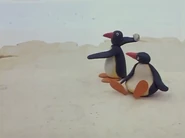 Pingg | Pingu Wiki | Fandom