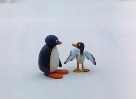 Little Accidents and Seagull | Pingu Wiki | Fandom