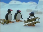 Pingg | Pingu Wiki | Fandom