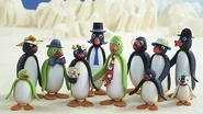 Green Penguins | Pingu Wiki | Fandom
