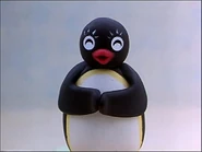 Pingi | Pingu Wiki | Fandom