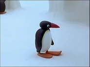 Pingg | Pingu Wiki | Fandom