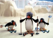 Pingo | Pingu Wiki | Fandom