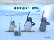 Pingu Studio | Pingu Wiki | Fandom