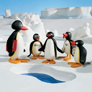 Pingg | Pingu Wiki | Fandom