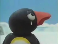 Pingu (Pilot Episode) | Pingu Wiki | Fandom