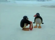 Lost Baby | Pingu Wiki | Fandom