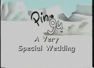 Pingu At The Wedding Party | Pingu Wiki | Fandom
