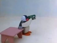 Pingu the Photographer | Pingu Wiki | Fandom