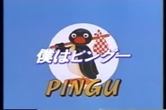 Hello, Pingu | Pingu Wiki | Fandom