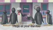Pingu At Your Service | Pingu Wiki | Fandom