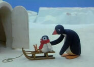 Pinga | Pingu Wiki | Fandom