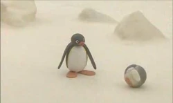 Pingu Wiki | Fandom