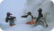 Pingo | Pingu Wiki | Fandom
