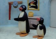 Lost Baby | Pingu Wiki | Fandom