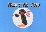Pingu's Big Video (1994 VHS) | Pingu Wiki | Fandom