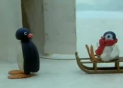 Lost Baby | Pingu Wiki | Fandom