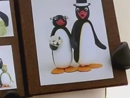 Pingu At The Wedding Party | Pingu Wiki | Fandom