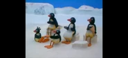Pingu's Circus | Pingu Wiki | Fandom