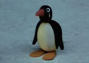 Pingo | Pingu Wiki | Fandom