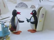 List of Minor Characters | Pingu Wiki | Fandom