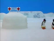 Pingu at the Doctor's | Pingu Wiki | Fandom