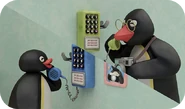 Grandpa (paternal) | Pingu Wiki | Fandom