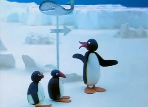 Pongi | Pingu Wiki | Fandom